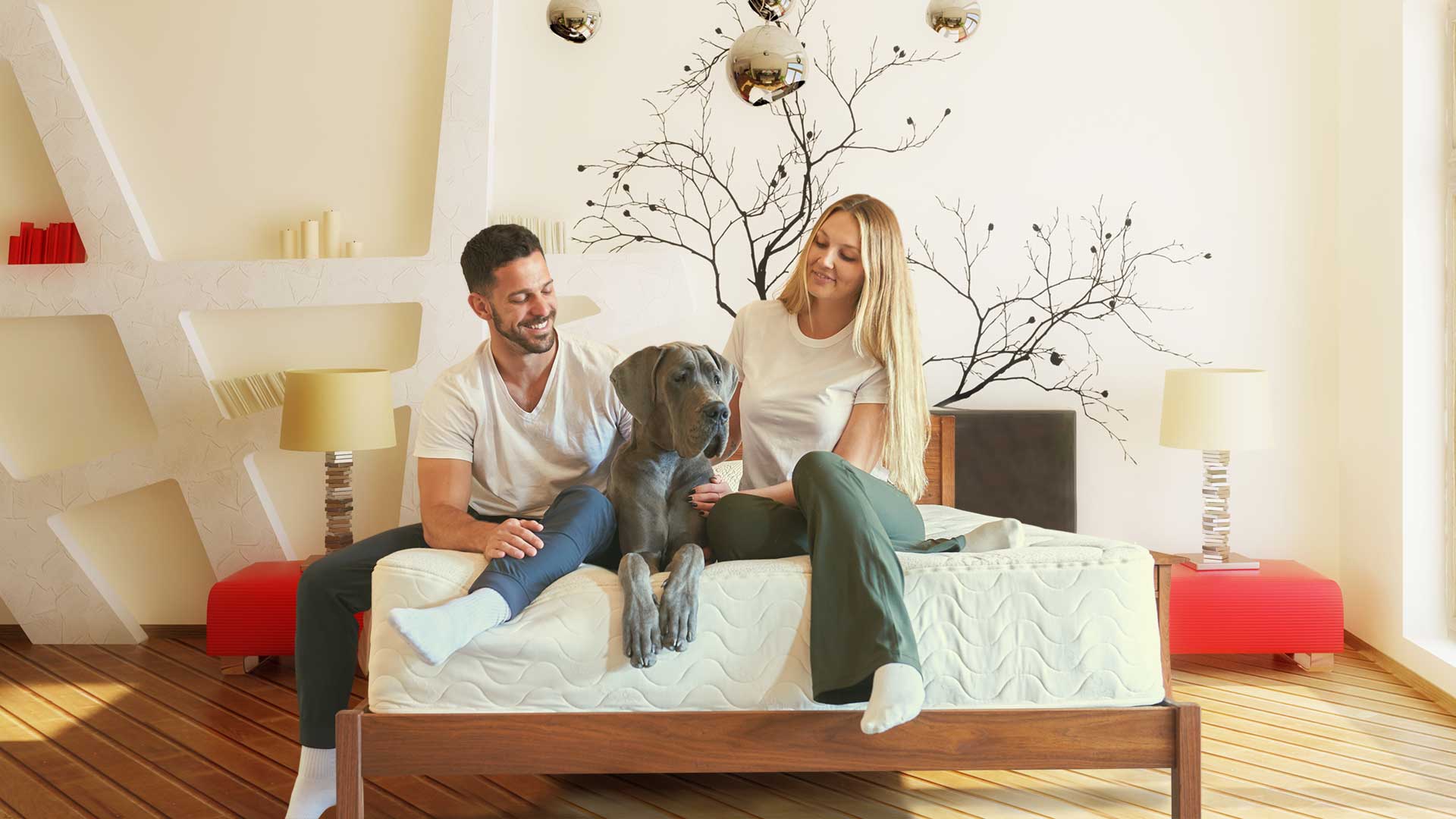 The Natural Mattress Store – The Natural Mattress Store